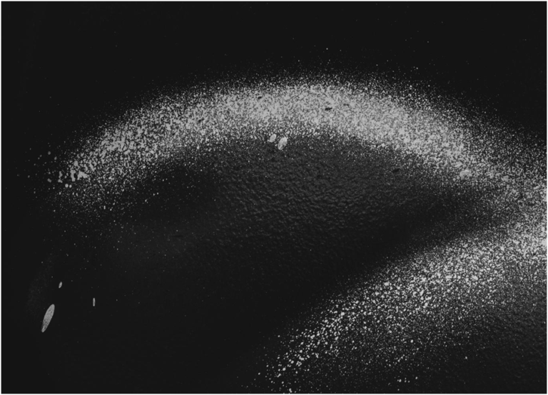 Oil Pollution Powder: Resolve Spill Issues Naturally