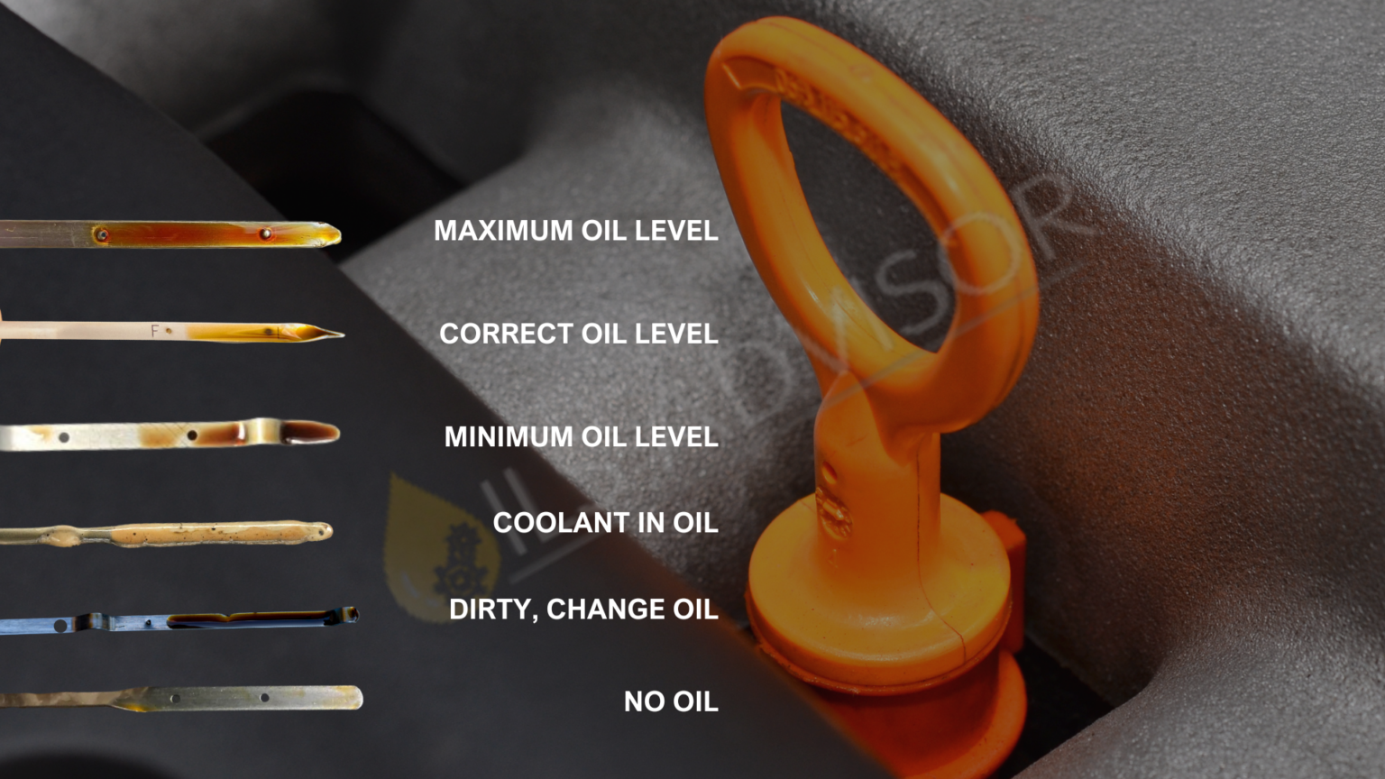 The Ultimate Guide: How to Properly Read Your Car's Oil Dipstick - Oils ...