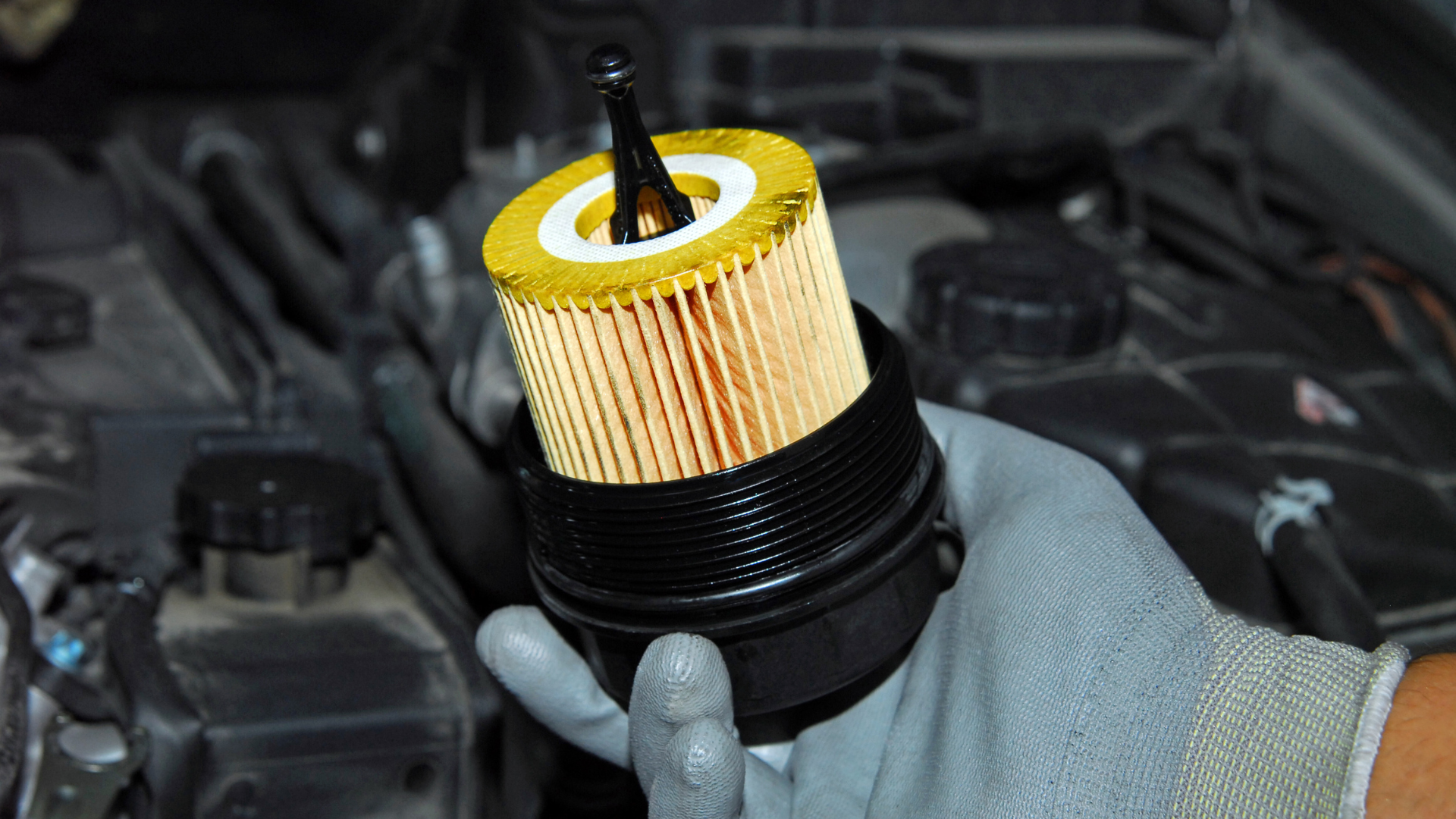 ACEA C5 Motor Oil: Specs, Benefits & Top Picks
